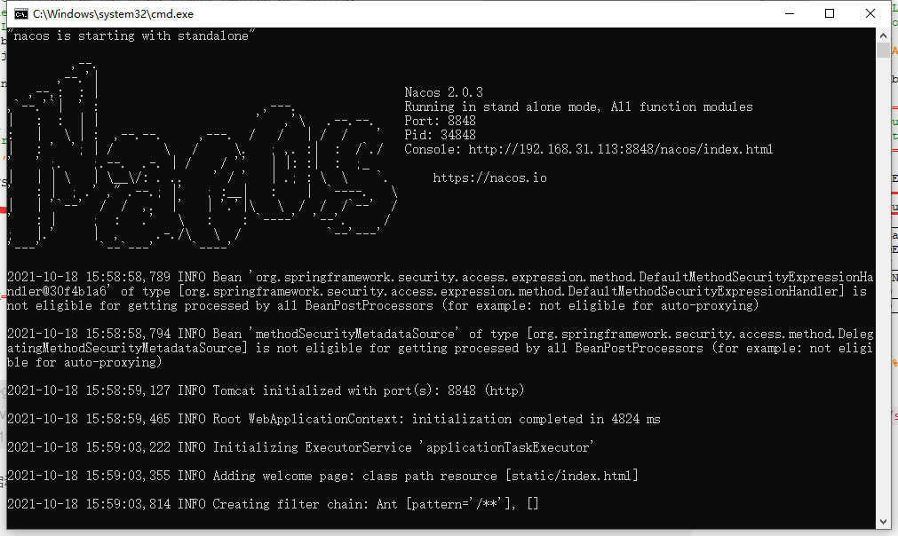 Nacos2.0.3 Windows下的启动与配置_windows服务器nacos 2.03-CSDN博客
