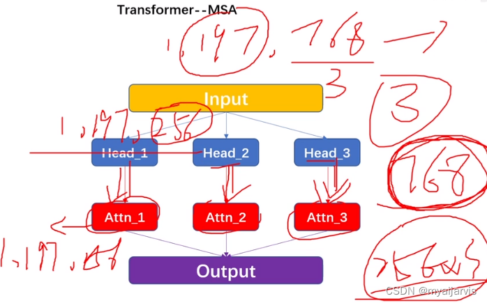 【paddle】Vision Transformer（attention）_paddle的mixvisiontransformer-CSDN博客
