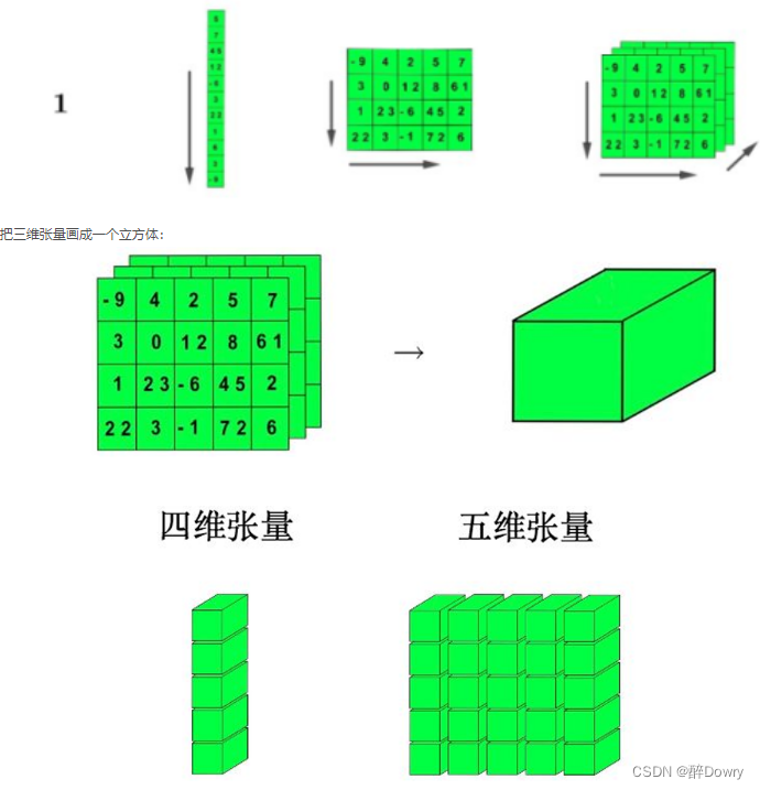 什么是张量（tensor） Csdn博客