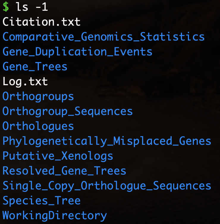 OrthoFinder 进行直系同源基因分析教程_获得直系同源基因得-CSDN博客