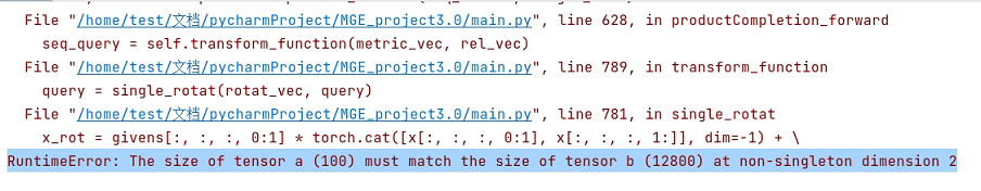 RuntimeError:The size of tensor a (100) must match the size of tensor b (12800) at non-singleton ...