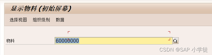 SAP系统MM模块MM17如何使用？物料主数据如何批量修改？_sap mm17-CSDN博客
