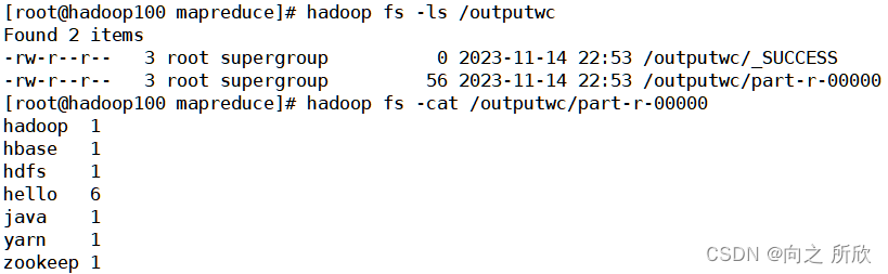 CentOS7 Hadoop3.X完全分布式环境搭建_分发同步hadoop的配置环境-CSDN博客