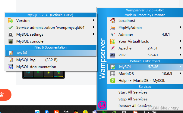 Wampserver集成Mysql更改密码后无法登陆，提示(HY000/1045)解决方案_wampserver连接数据库1045-CSDN博客
