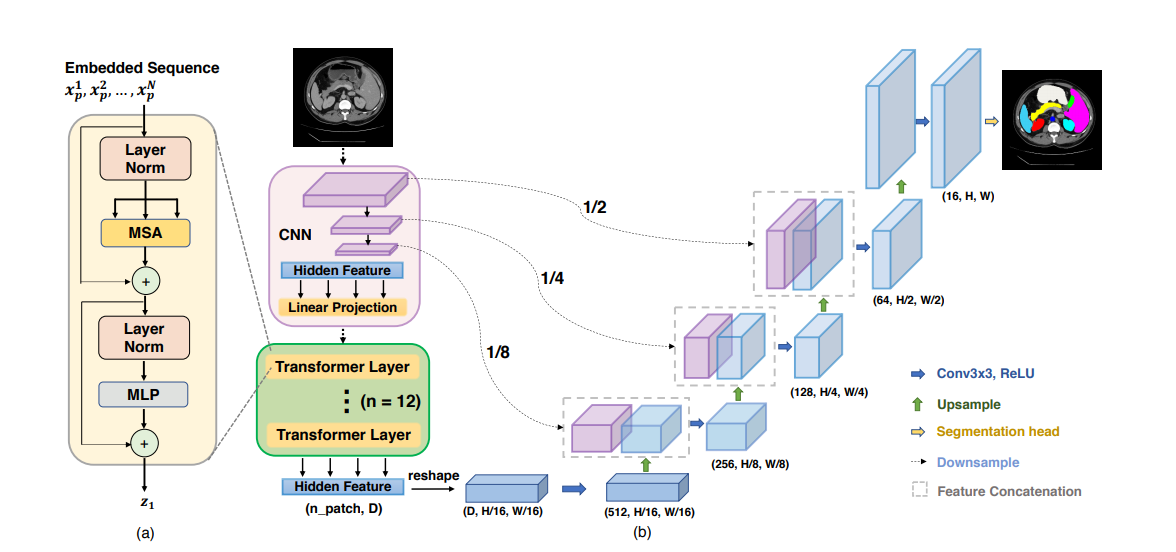 TransUNet-CSDN博客