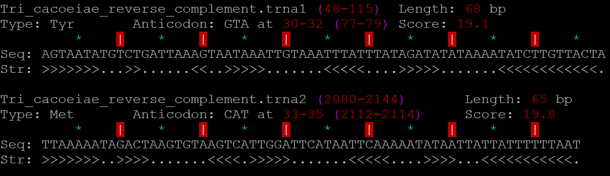 利用tRNAscan-SE做tRNA分析-CSDN博客