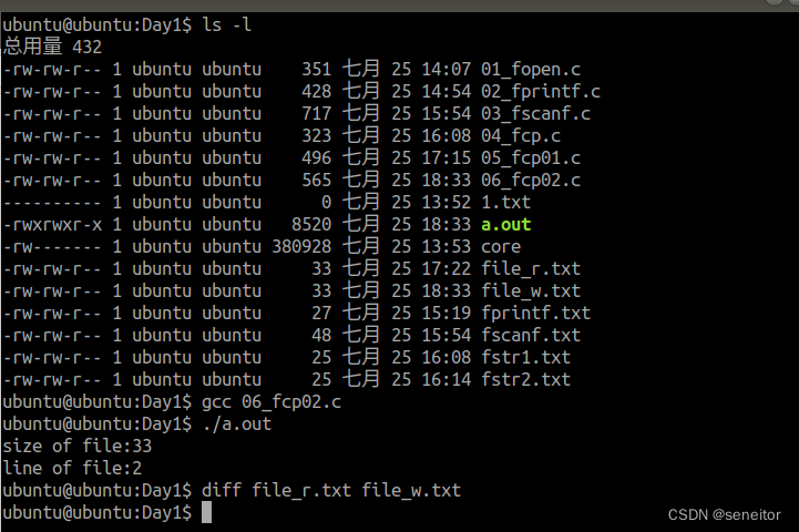 Day 1（IO）-CSDN博客