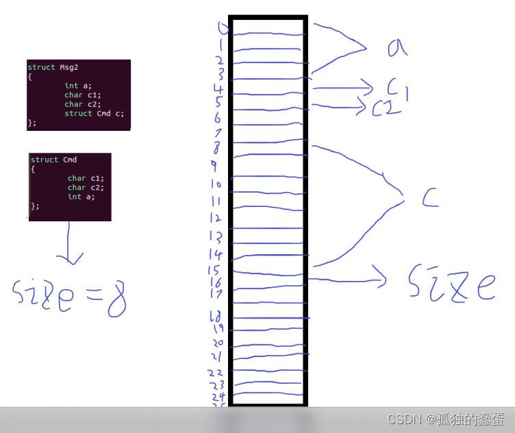 C语言结构体对齐，超详细，超易懂-CSDN博客