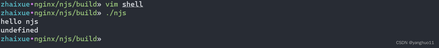 nginx 官方的脚本njs环境搭建和使用_njs如何使用-CSDN博客