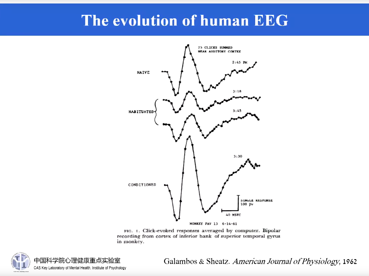 脑电数据分析方法与应用实例简介-EEG Processing and Feature 1-CSDN博客