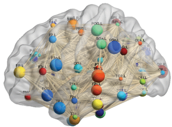 [论文精读]Classification of Brain Disorders in rs-fMRI via Local-to-Global Graph Neural Networks_lg ...