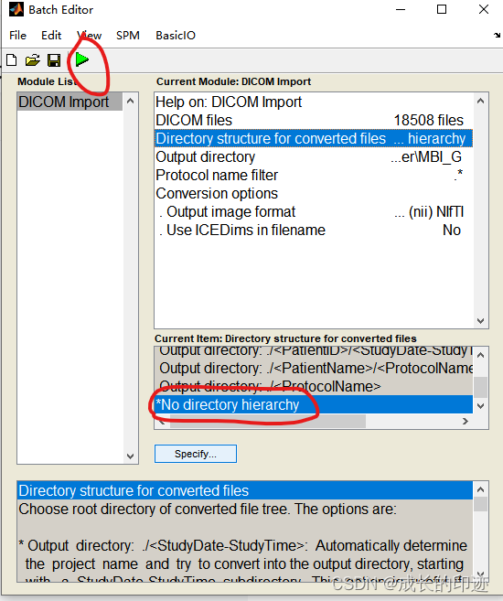基于spm12,DCM文件批量转为nii格式_matlab为什么将dcom导不出nii格式-CSDN博客