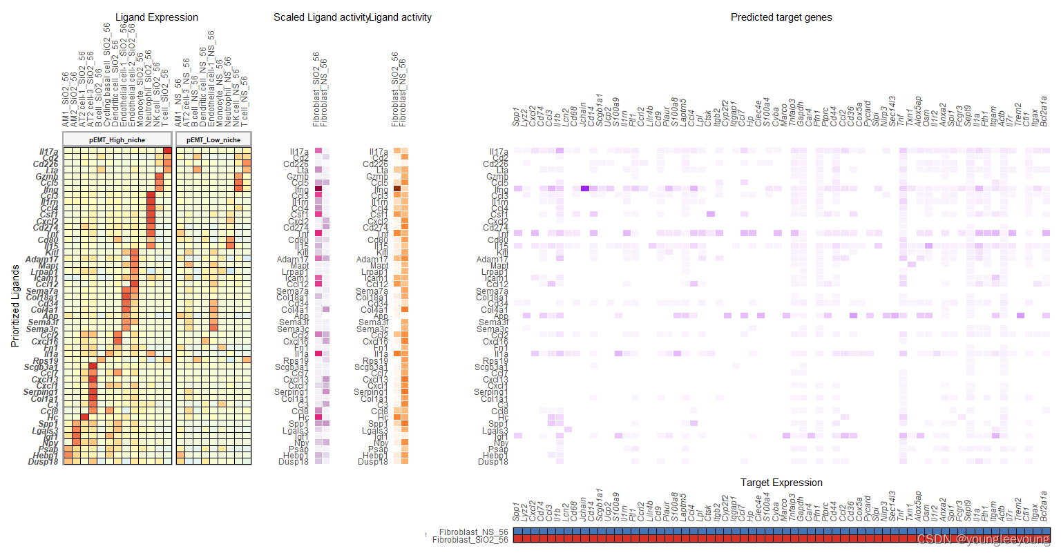 differential analysis between different groups nichenet for silicosis成功 ...