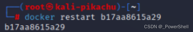 [ 靶场环境片 ] kali-linux采用Docker 搭建 pikachu（特别详细）_kali pikachu安装教程-CSDN博客