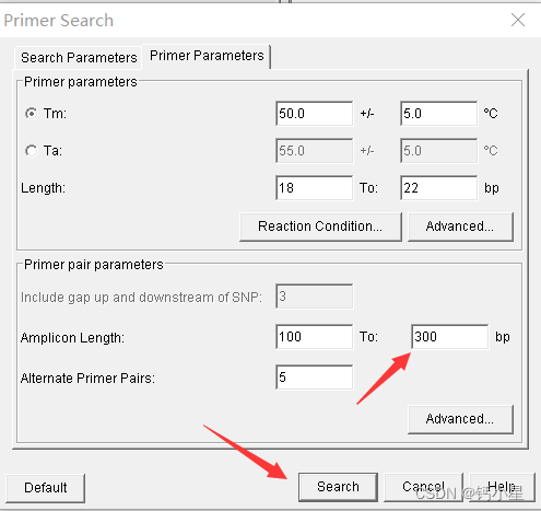 引物设计-Primer6.0-CSDN博客