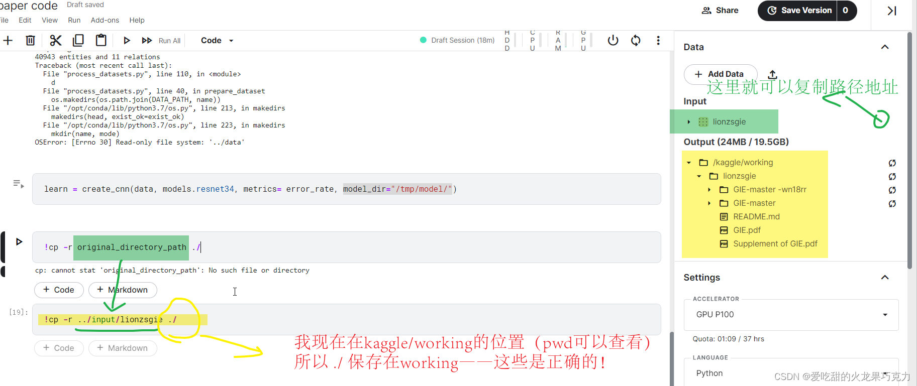 kaggle出现read-only file system； CUDA out of memory错误；os.path.join()，参数路径是完整路径报错了；清理显存_kaggle出现 ...