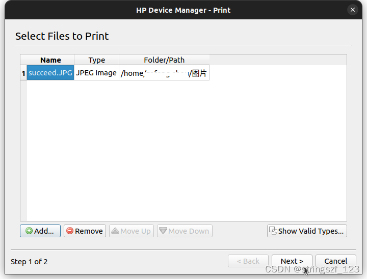 Linux(Debian系)图形化安装惠普HP打印机驱动-亲测有效！新手友好_hplip_stringszf_123的博客-CSDN博客