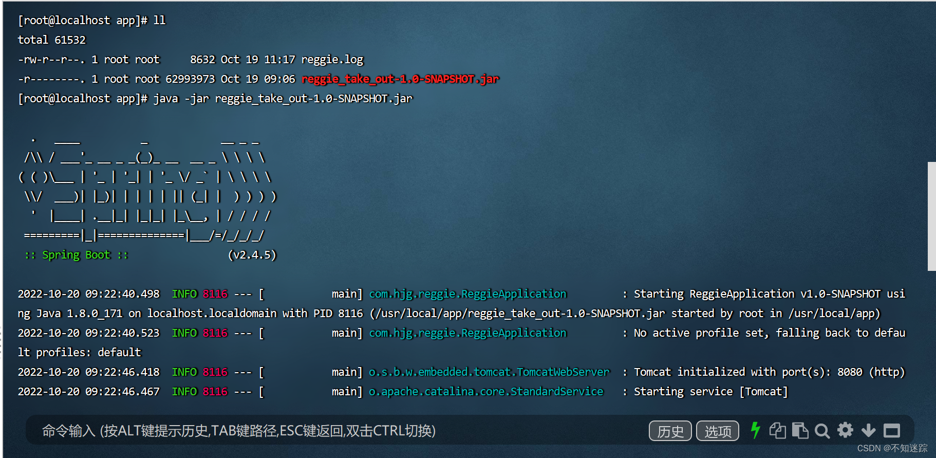 Linux常用命令操作及springboot项目的部署_纯命令行部署springboot-CSDN博客