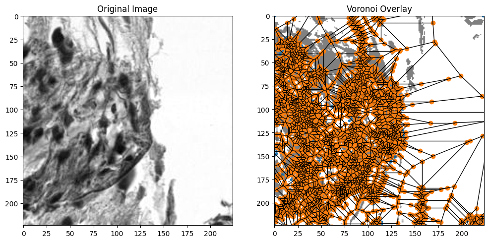 【CV\segmentation】基于Voronoi图的超像素分割及其在 [点标注] 弱监督学习中的应用 || 学习笔记_voronoi ...