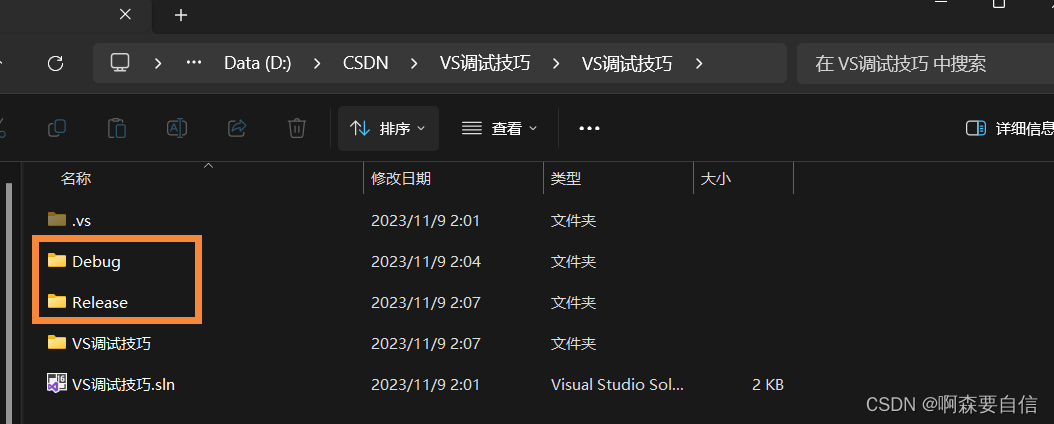 【C语言】VS实⽤调试技巧&（Debug和Release）监视&内存_vs内存监控、-CSDN博客