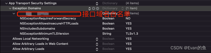 iOS 域名白名单 NSExceptionDomains 的配置_exception domains-CSDN博客