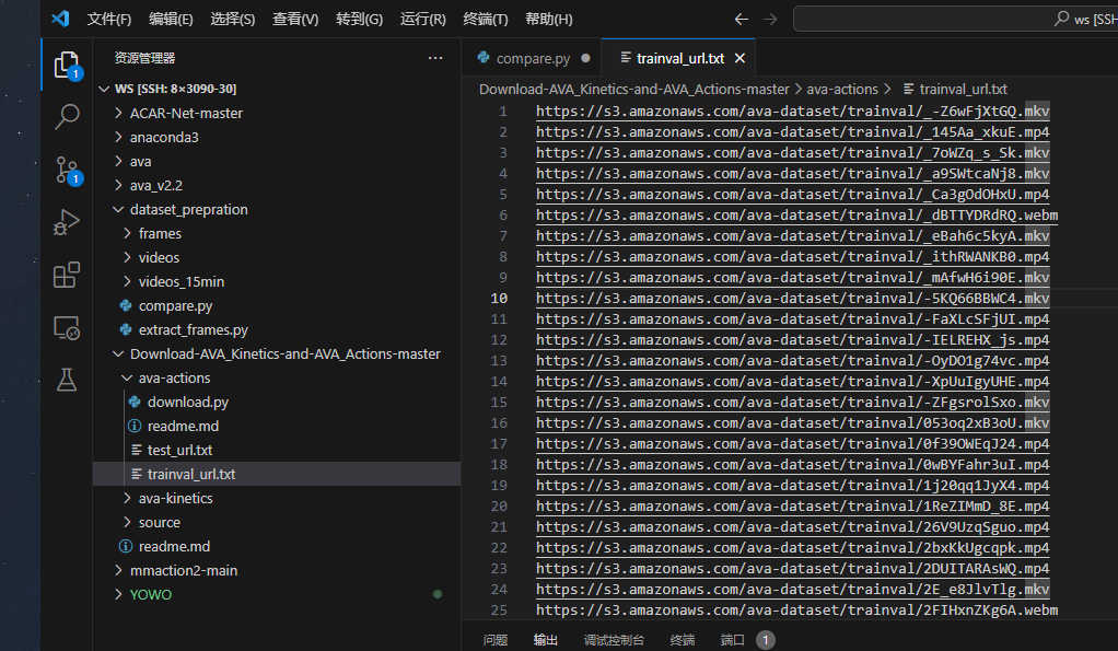 AVA视频数据集制作_ava数据集的制作-CSDN博客