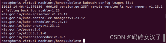Linux-Ubuntu系统安装K8S以及kuboard管理工具_linux安装kuboard-CSDN博客