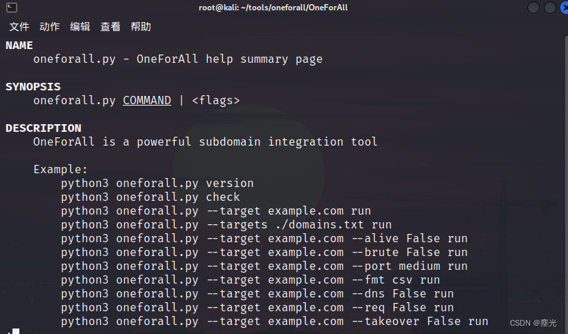 kali安装和使用Oneforall_oneforall kali-CSDN博客