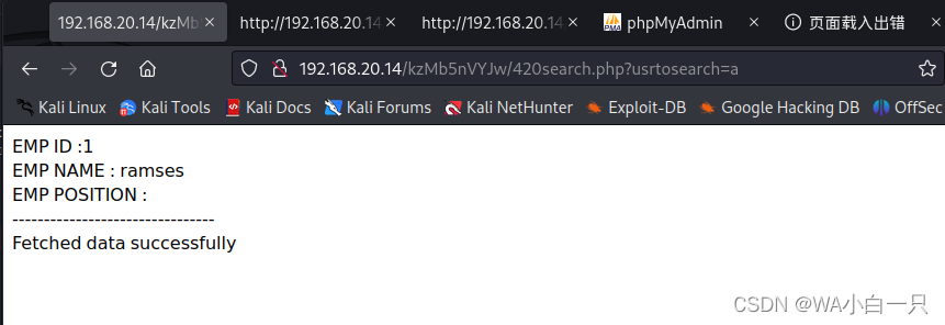 01_渗透靶场NullByte：namp使用，多姿势SQL注入，提权-CSDN博客
