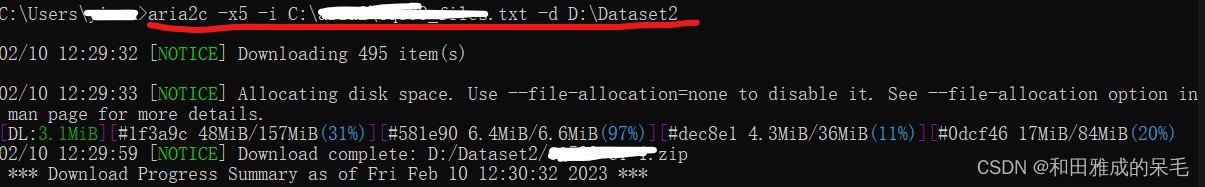 aria2(aria2c)安装使用指南-CSDN博客