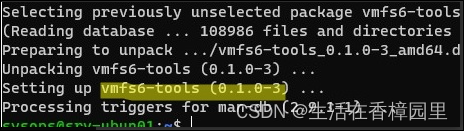 VMWare：从 Linux/ESXi 中进入 VMFS Datastore_vmfs6-tools-CSDN博客
