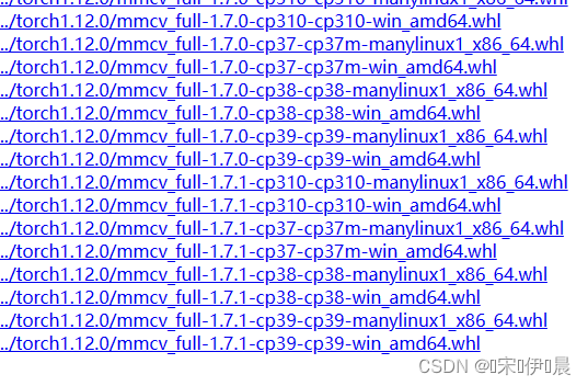 （linux系统下）MMCV及MMClassification教程及安装问题解决_torch12.1.1对应的mmcv-CSDN博客
