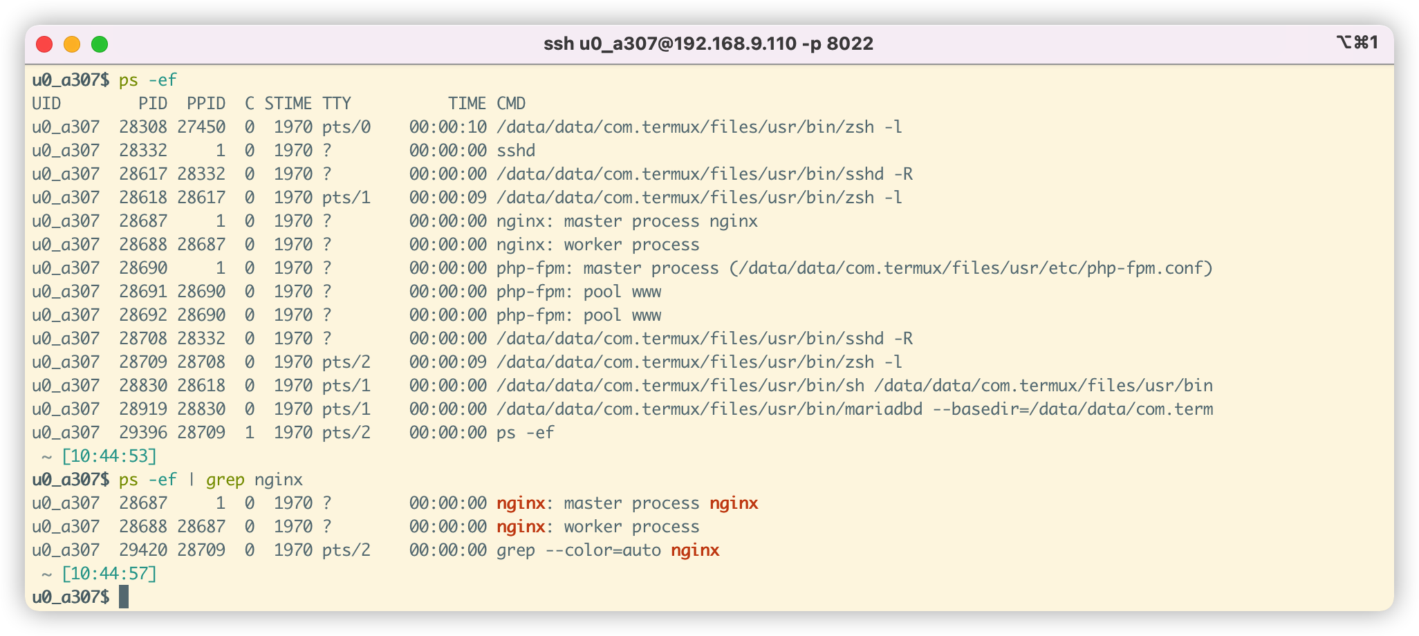 最小termux的nginx+php配置_termux nginx-CSDN博客