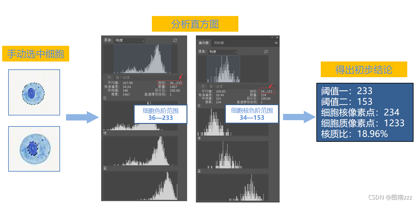 Python Opencv计算细胞核质比、轮廓描绘、椭圆拟合、gui手动调整阈值、自定义函数自动检测阈值python怎么画细胞图 Csdn博客 1534