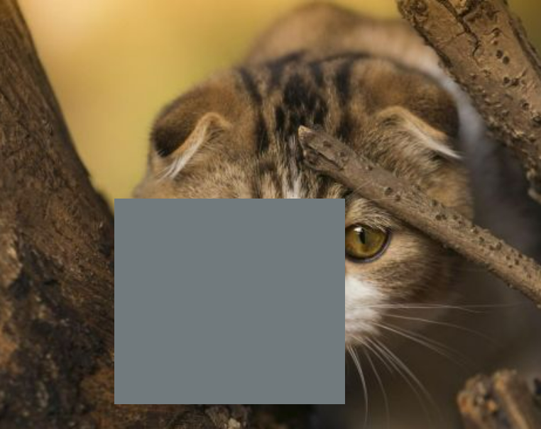 数据增强实测之Random Erasing-CSDN博客