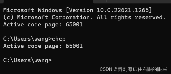 win11中使用dos命令出现乱码解决方案_win11系统dos界面中文乱码-CSDN博客