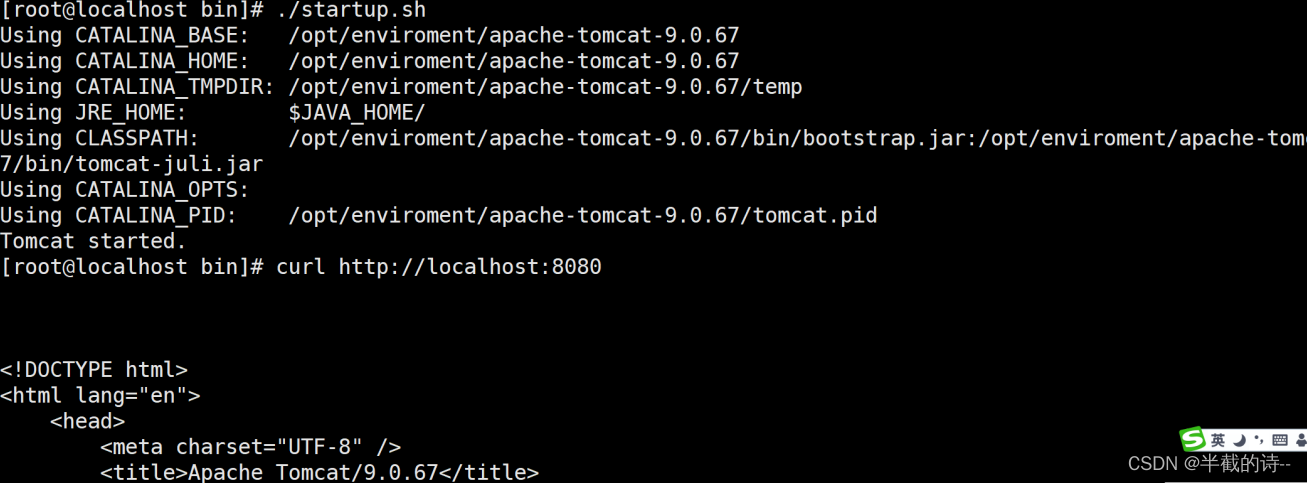 Linux安装配置Tomcat9_linux安装tomcat9-CSDN博客