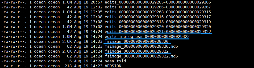 namenode的fsimage与edits文件_namenode start 跳过edit 文件-CSDN博客