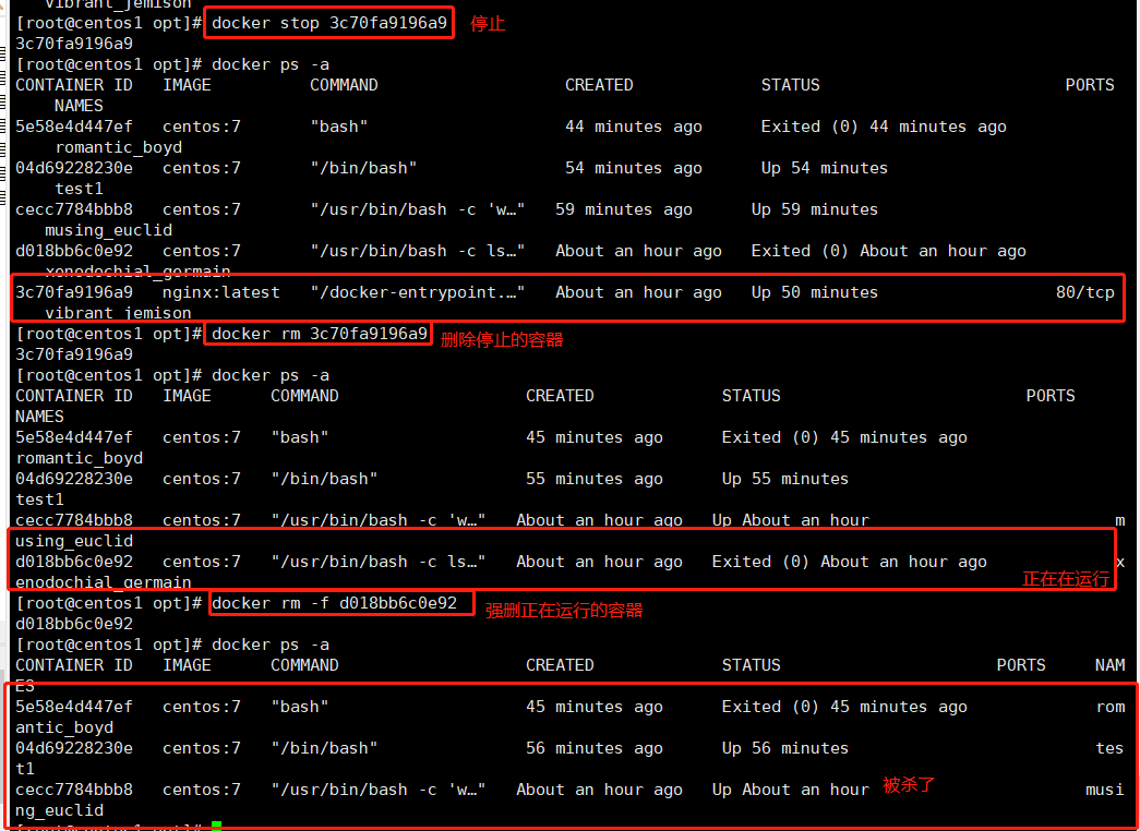 Docker 基本管理_docker image根据repository tag到id-CSDN博客
