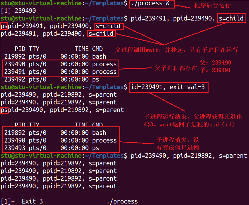Linux进程基础：fork函数_三个fork函数输出8个-CSDN博客