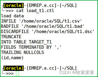 Oracle sqlldr和外部表_sqlldr 中生成外部标命令-CSDN博客