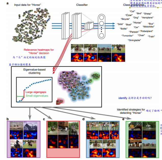Unmasking Clever Hans predictors and assessing what machines really learn：揭露“聪明汉斯”预测变量并评估机器到底学习到 ...