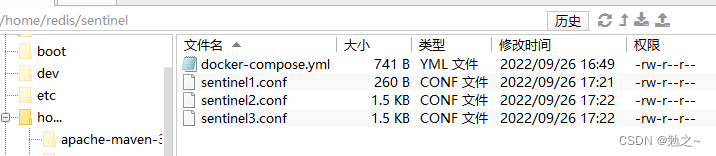 使用docker Compose搭建redis Sentinel集群 亲测有效 Sentinel Docker Compose配置 Csdn博客