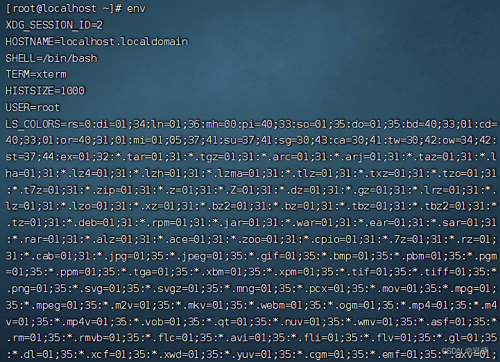 Linux环境变量 Csdn博客