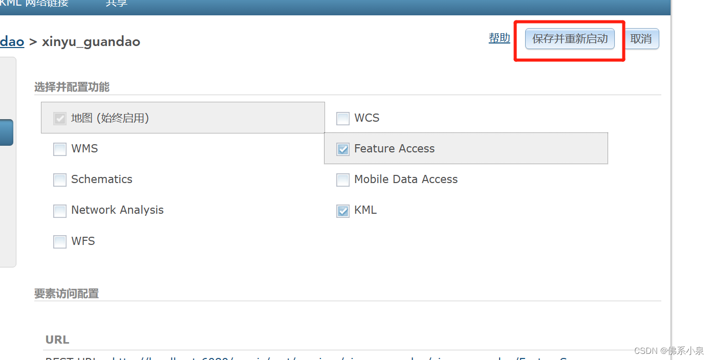 Arcgis server Feature access启用-CSDN博客