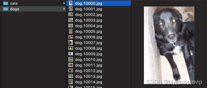 基于python的卷积神经网络的猫狗图像识别系统python卷积神经网络的图像识别技术 Csdn博客