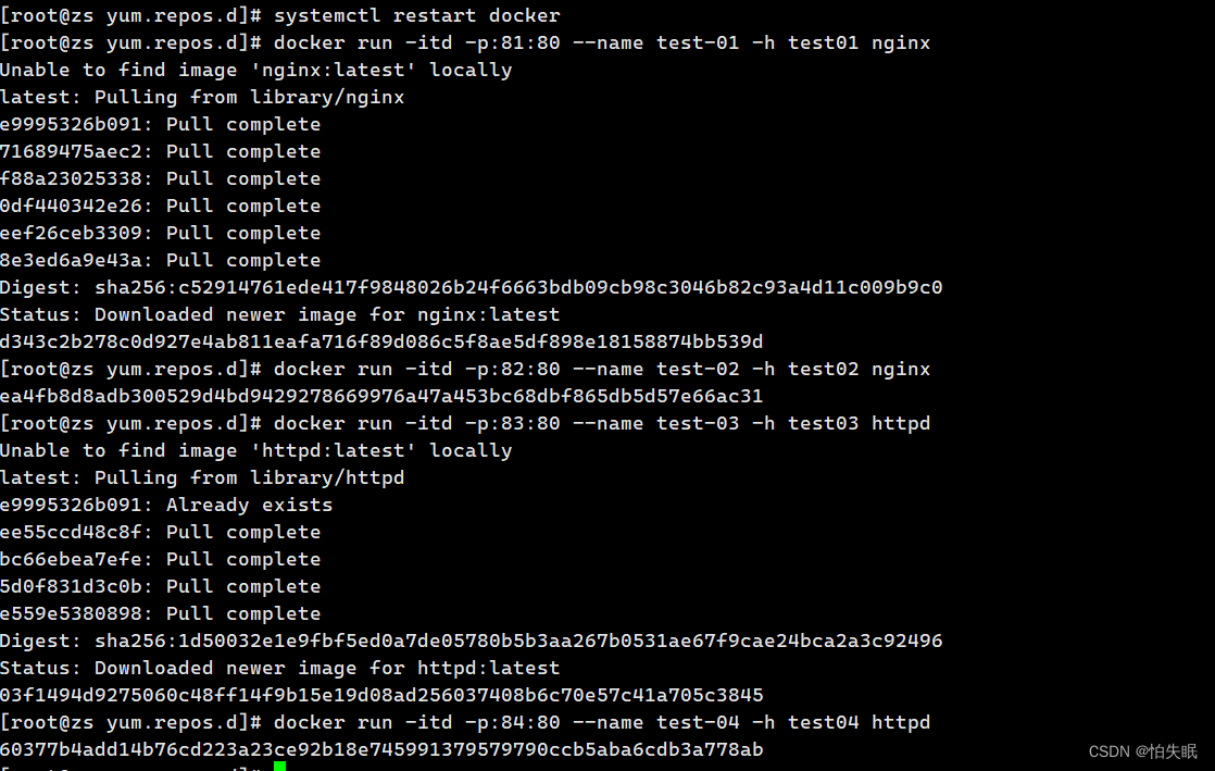 Docker容器-------Consul（注册中心）部署_consul查看已注册服务-CSDN博客