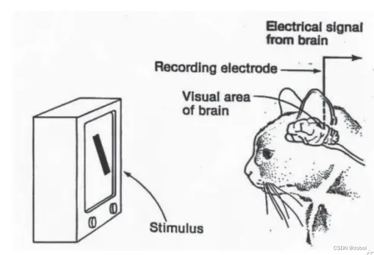 【计算机视觉】从数字图像处理到计算机视觉的大致发展历程_1982dvid marr《视觉》-CSDN博客
