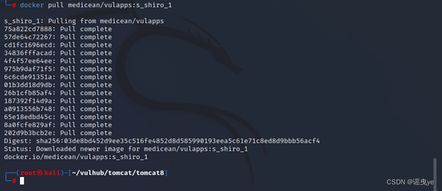 kali中使用Docker搭建vulhub靶场和vulapps靶场（新手向）-CSDN博客