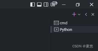 Visual Studio Code怎么停止正在运行的Python脚本？_vscode 停止python运行-CSDN博客